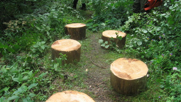 Rekonstrukcija "Trim staze" - staze zdravlja - 058.ba | 058.ba