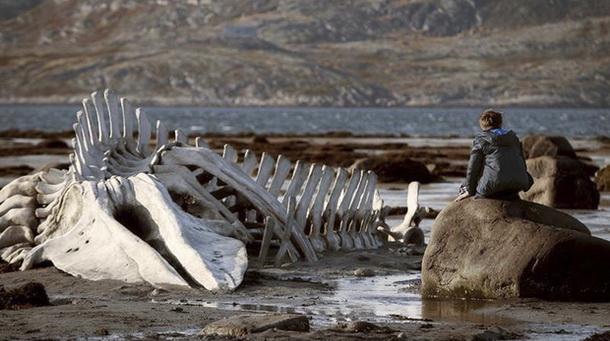 Bioskop: Repertoar od 12. do 18. decembra - 058.ba | 058.ba