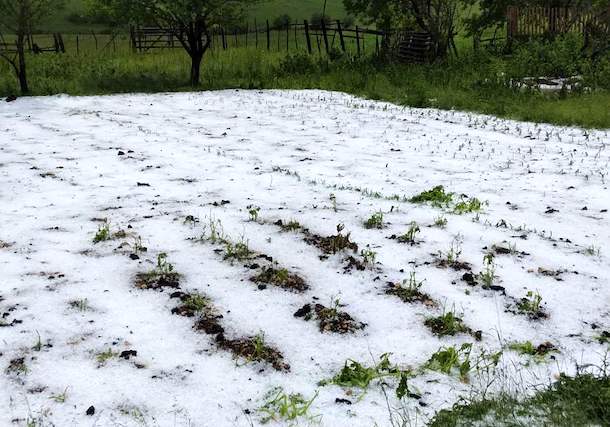 Nevrijeme u opštini Rogatica - Grad stukao Babljak i okolinu - 058.ba ...